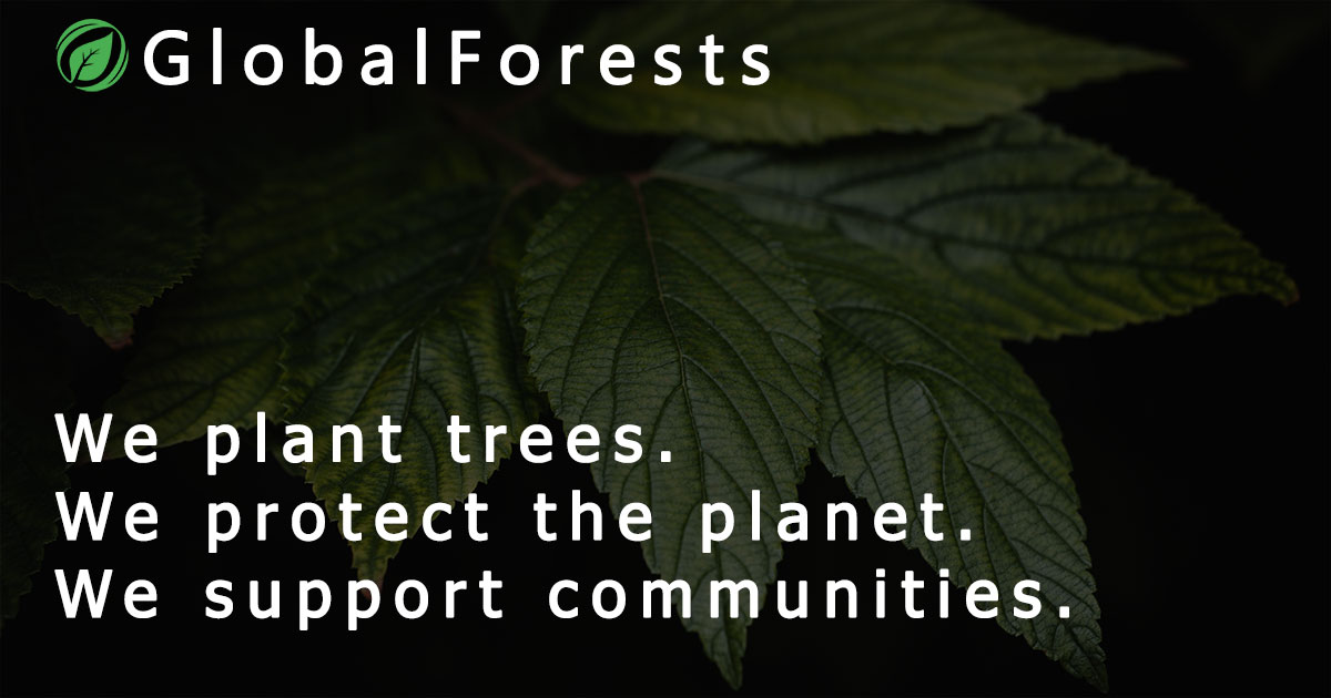 Join Us - GlobalForests